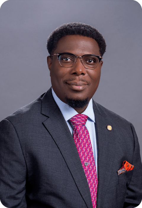 Ayo Babatunde | Retail Supermarkets Nigeria Limited